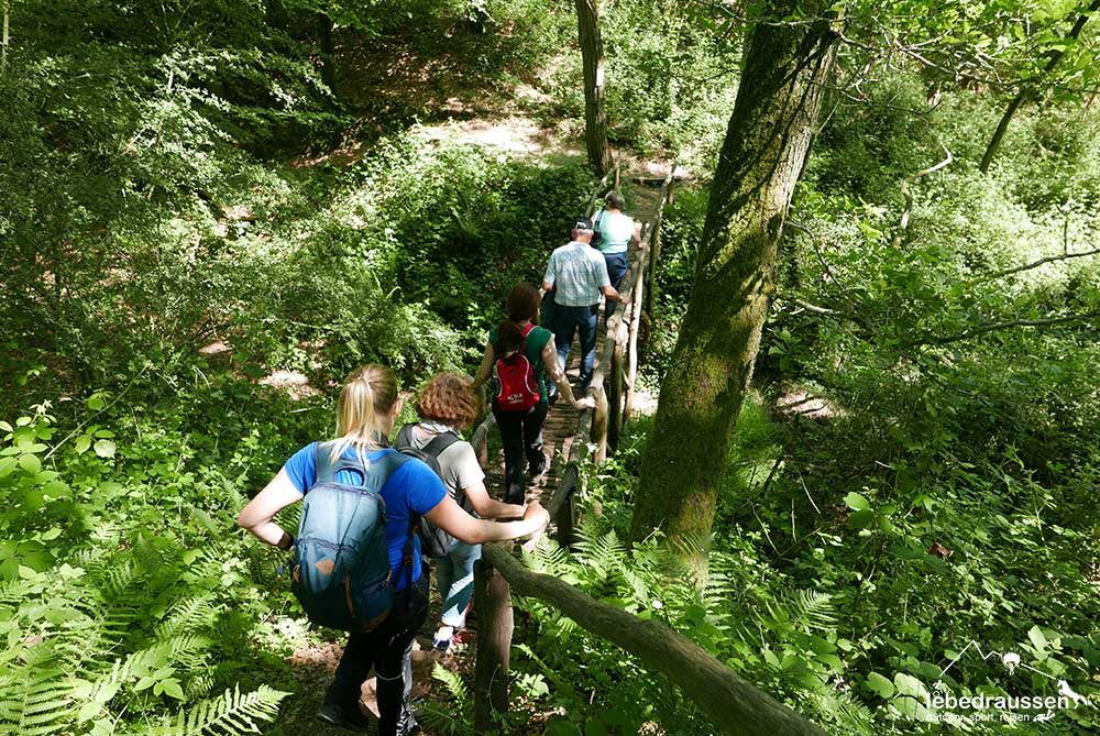Ein Wander- und Erlebnistag im Saarland: zum Nachmachen!