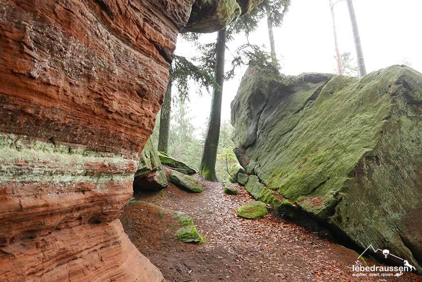 Felsenwaldtour in der Pfalz: Felsen im Nebel bei Pirmasens