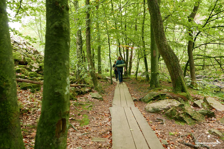Wandern in Söderasen Nationalpark | lebedraussen! Outdoorblog